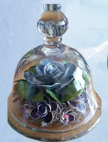 Australian To Compete in 2024 Sanibel Shell Show