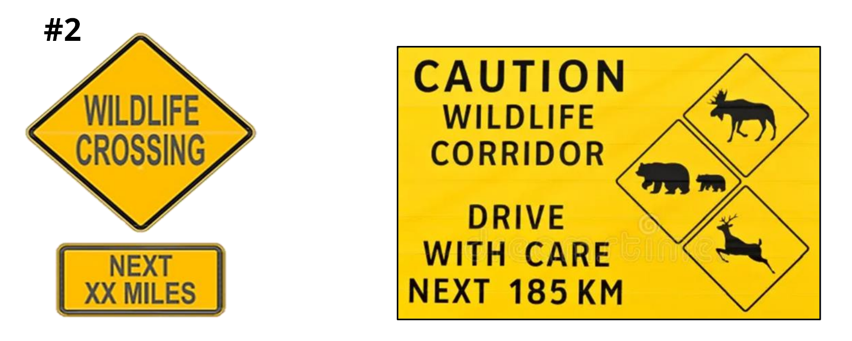 Sanibel Council Reviews Wildlife Crossing Signs, Traffic Calming at ...